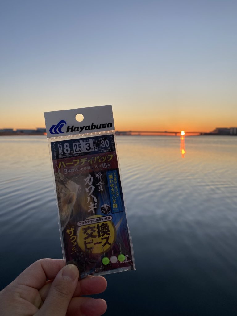 釣り納め 🎣 | ハヤブサLady 隼華-HAYAKA-