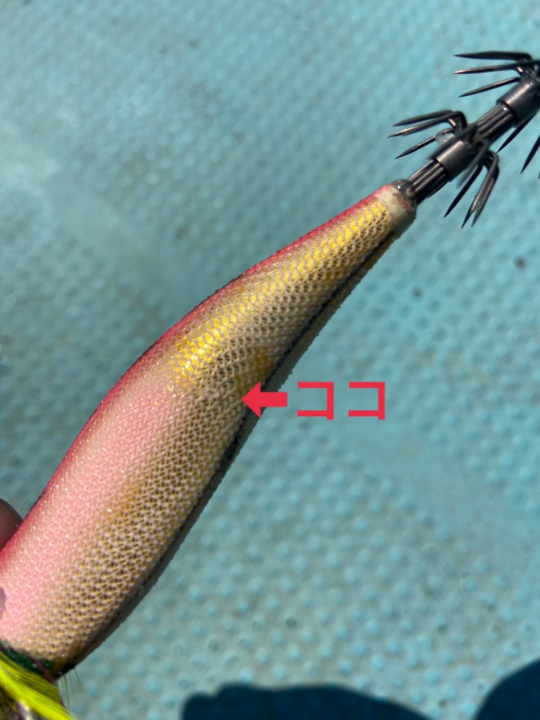 IMG_8128 | ハヤブサLady 隼華-HAYAKA-